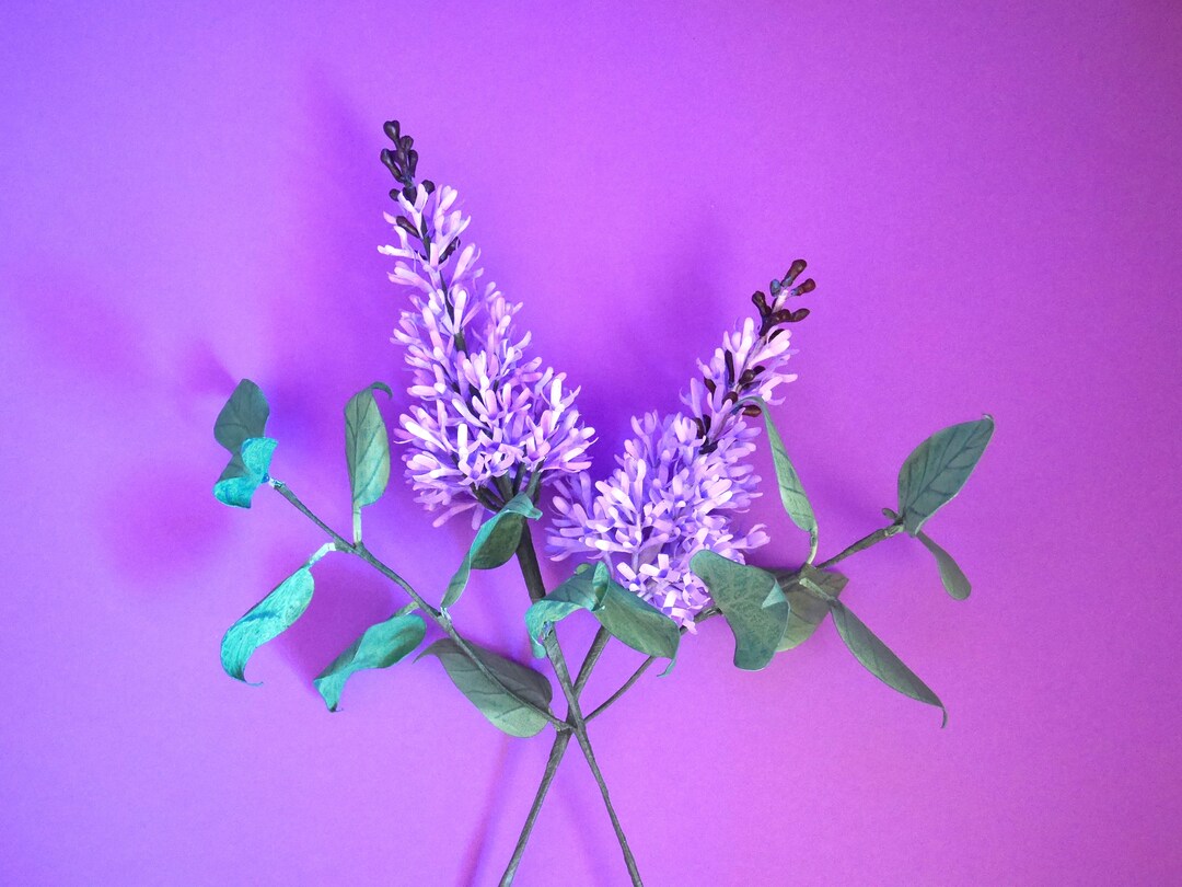Syringa - Lilac - Paper Flowers - Templates - Instant Download - Video ...