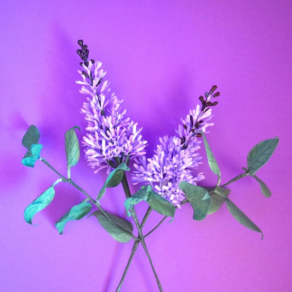 Bouquet of Lilac - Etsy