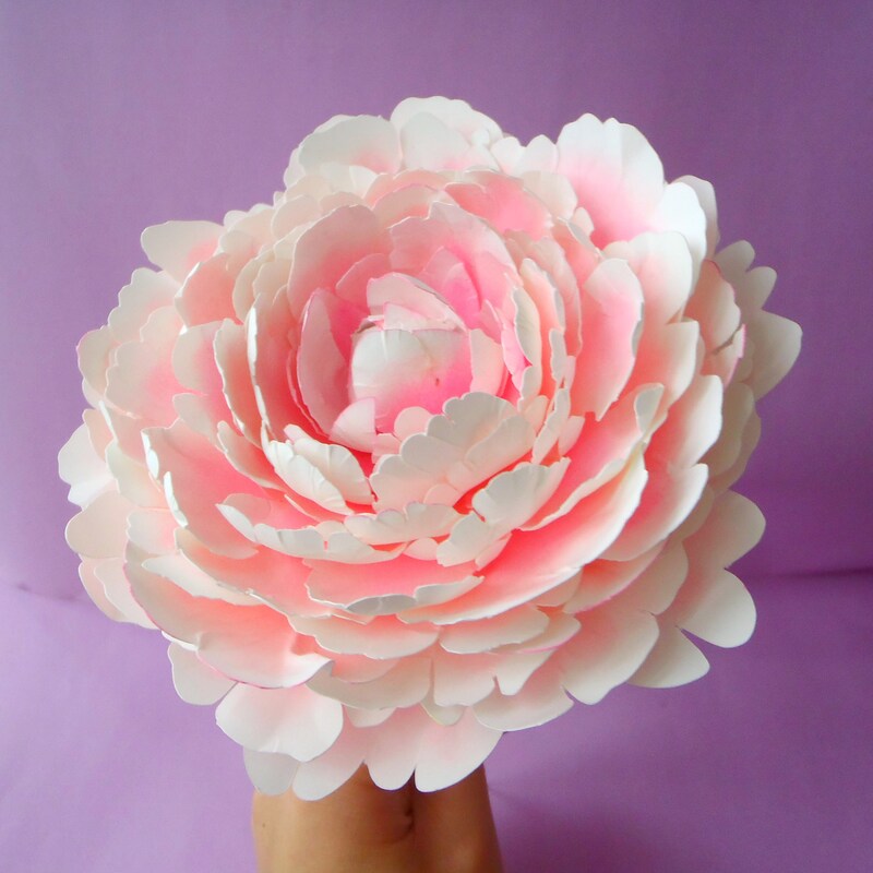 Paper Peonies - Etsy