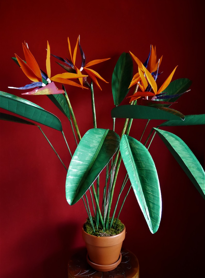 Bird of Paradise - Paper Flower - Templates - Digital Delivery - SVG ...