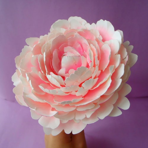 Daphne Paper Flowers Templates Video Tutorial Instant - Etsy