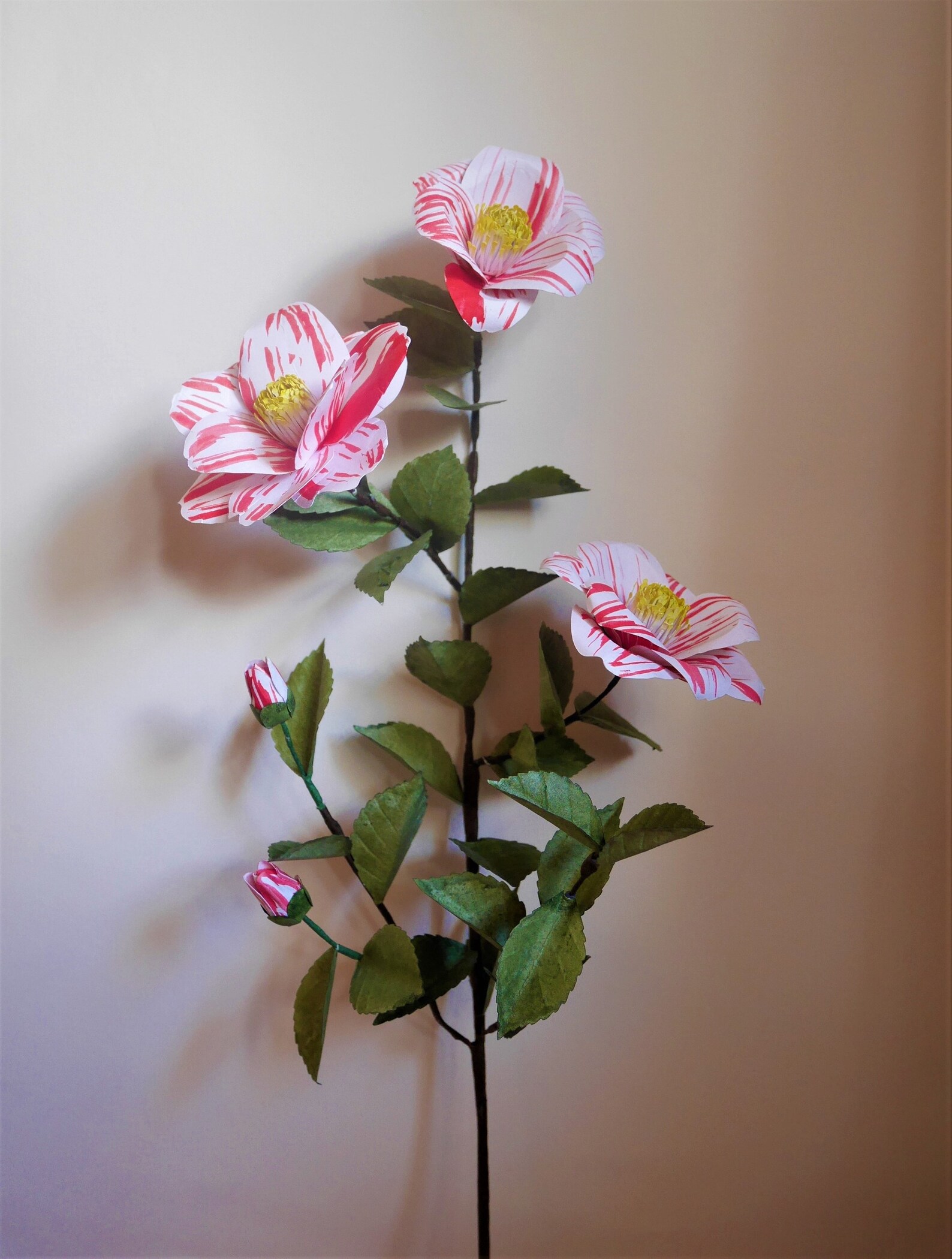 Easy Camellia Japonica Paper Flower Templates Video - Etsy