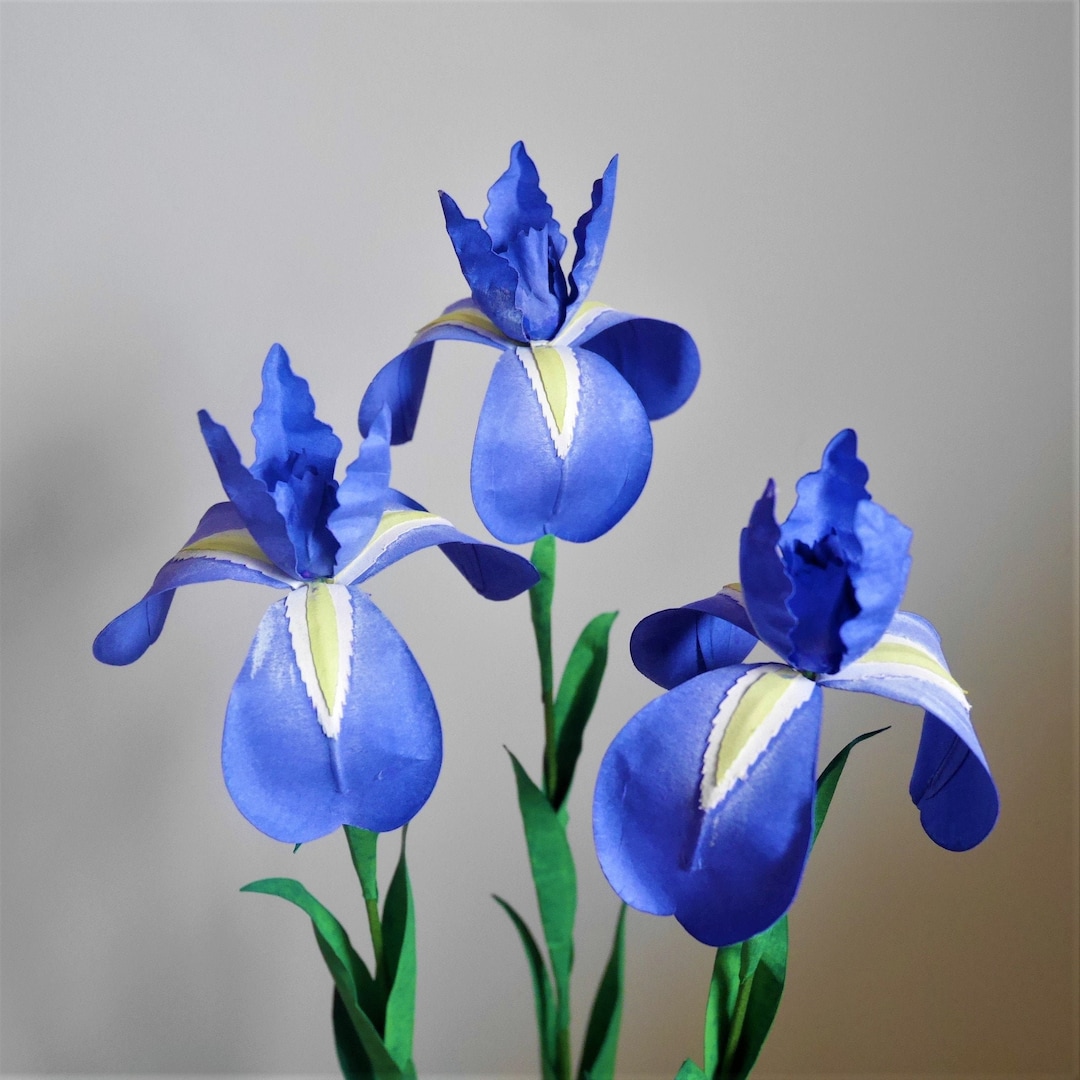 Japanese Iris - Paper Flower - Templates - Video Tutorial - Instant ...