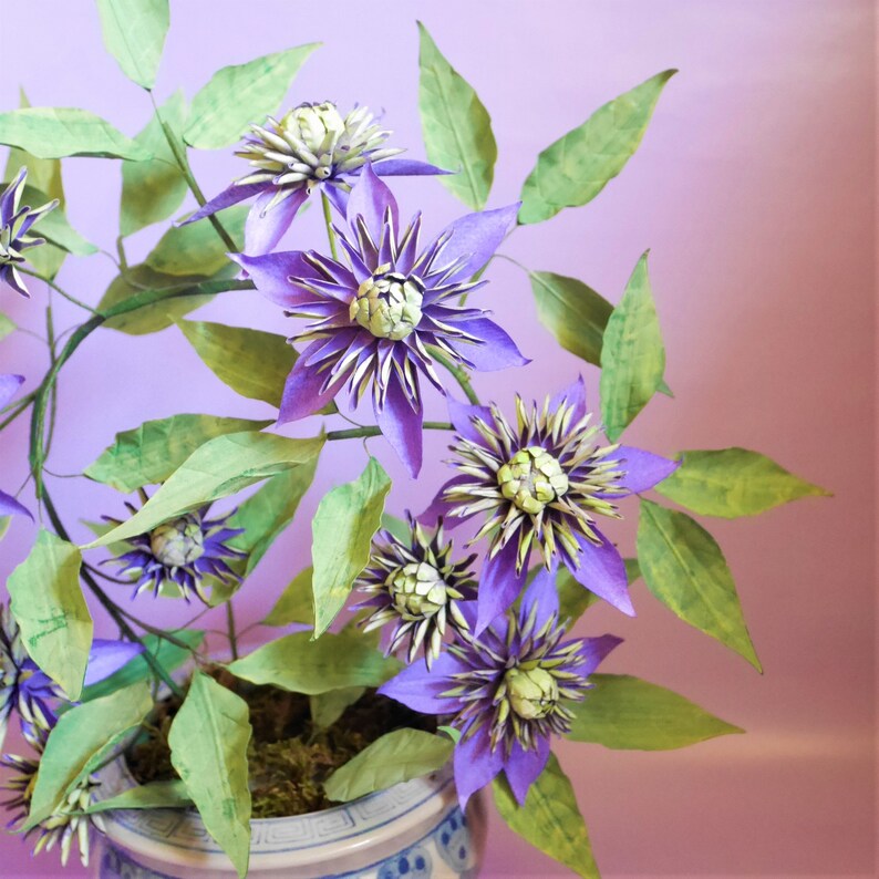 Taiga Clematis Paper Flowers Templates DIY Instant - Etsy