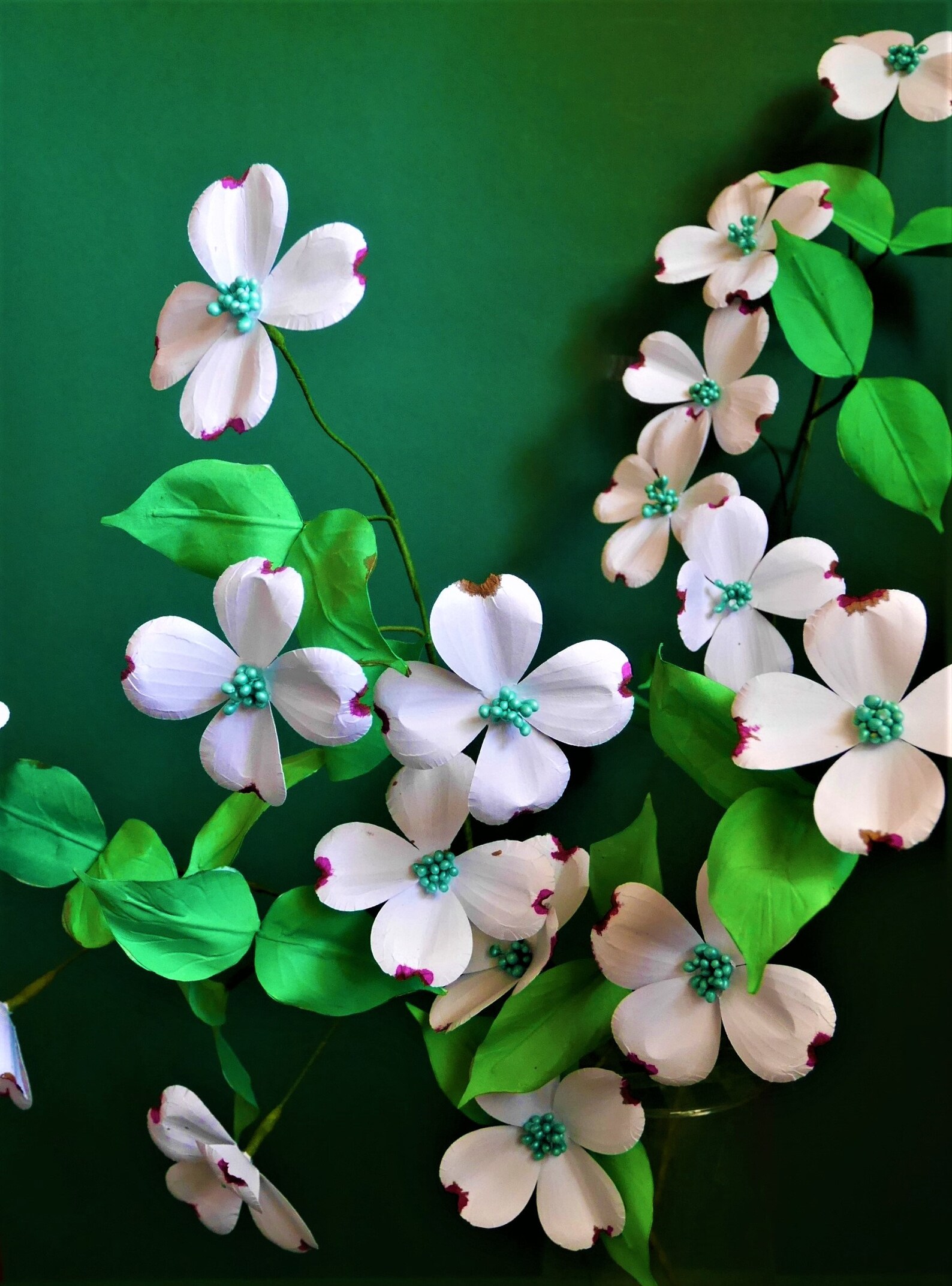 Dogwood Paper Flower Templates Instant Download Video - Etsy