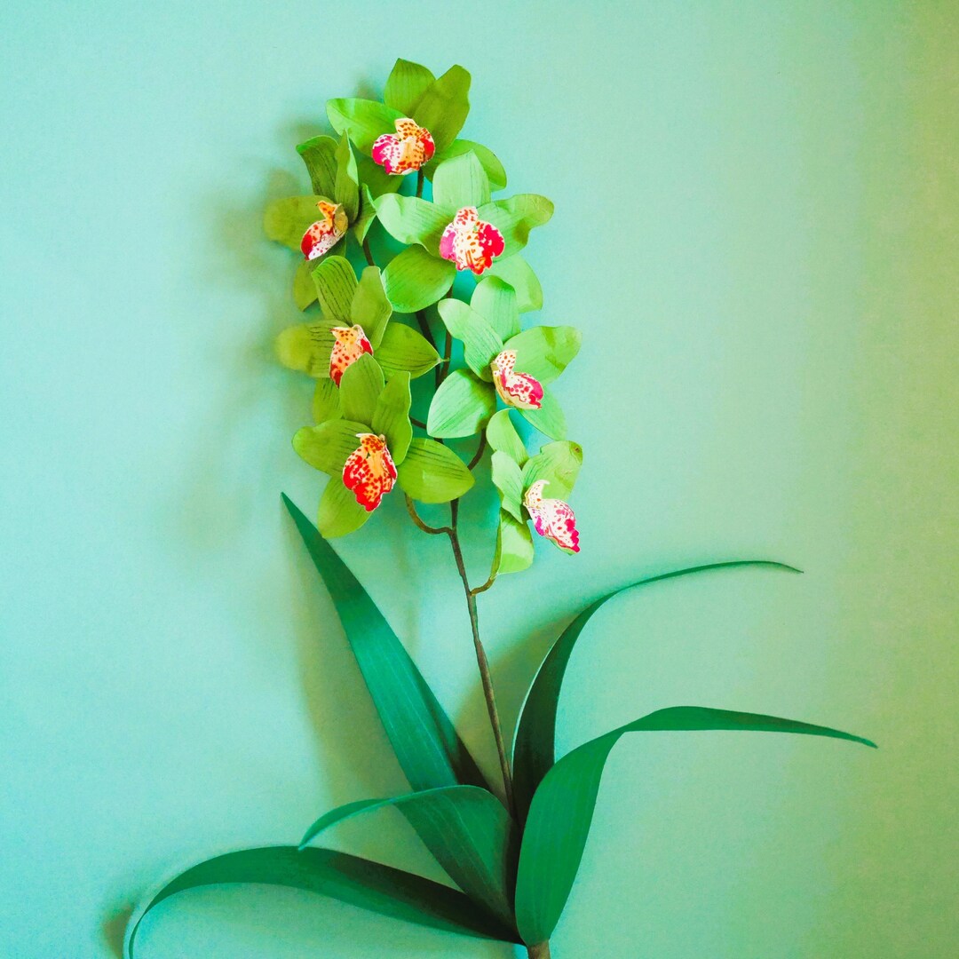 Green Dragon Paper Flower Template: DIY Cymbidium SVG, Video Tutorial ...