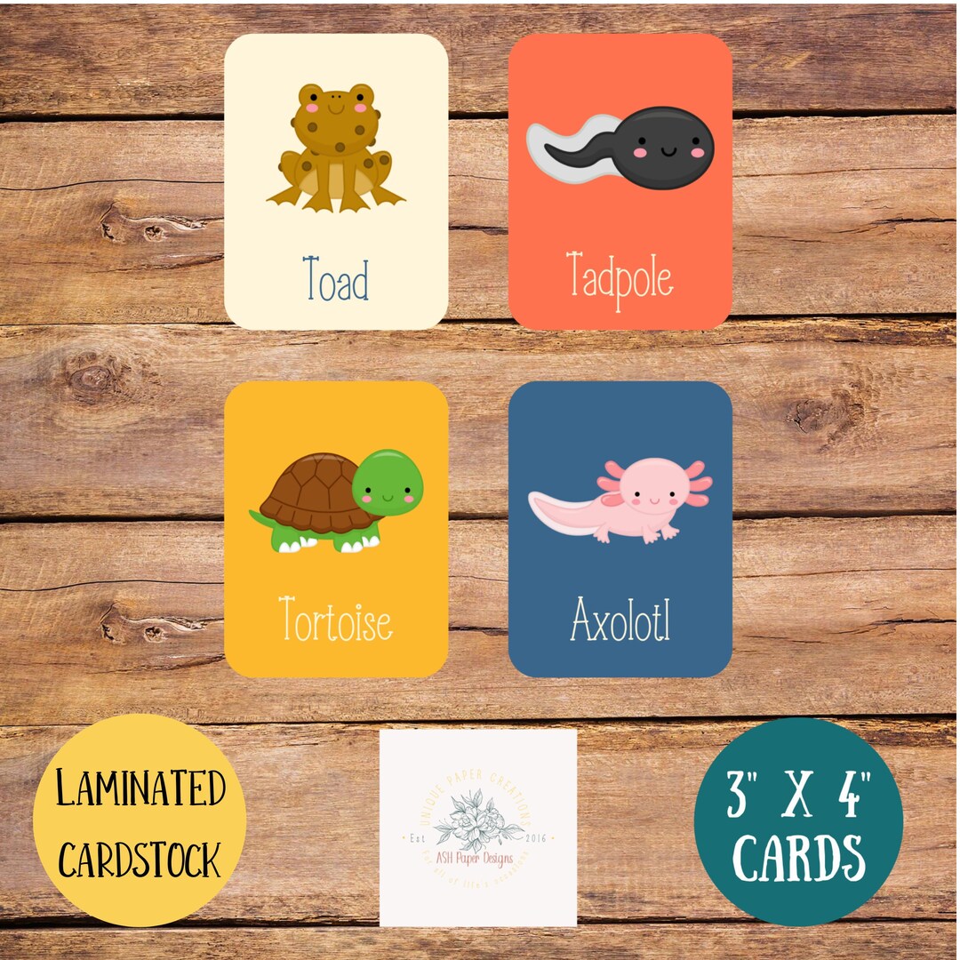 Engaging Fully Assembled Flash Card Set for Reptile and Amphibian ...