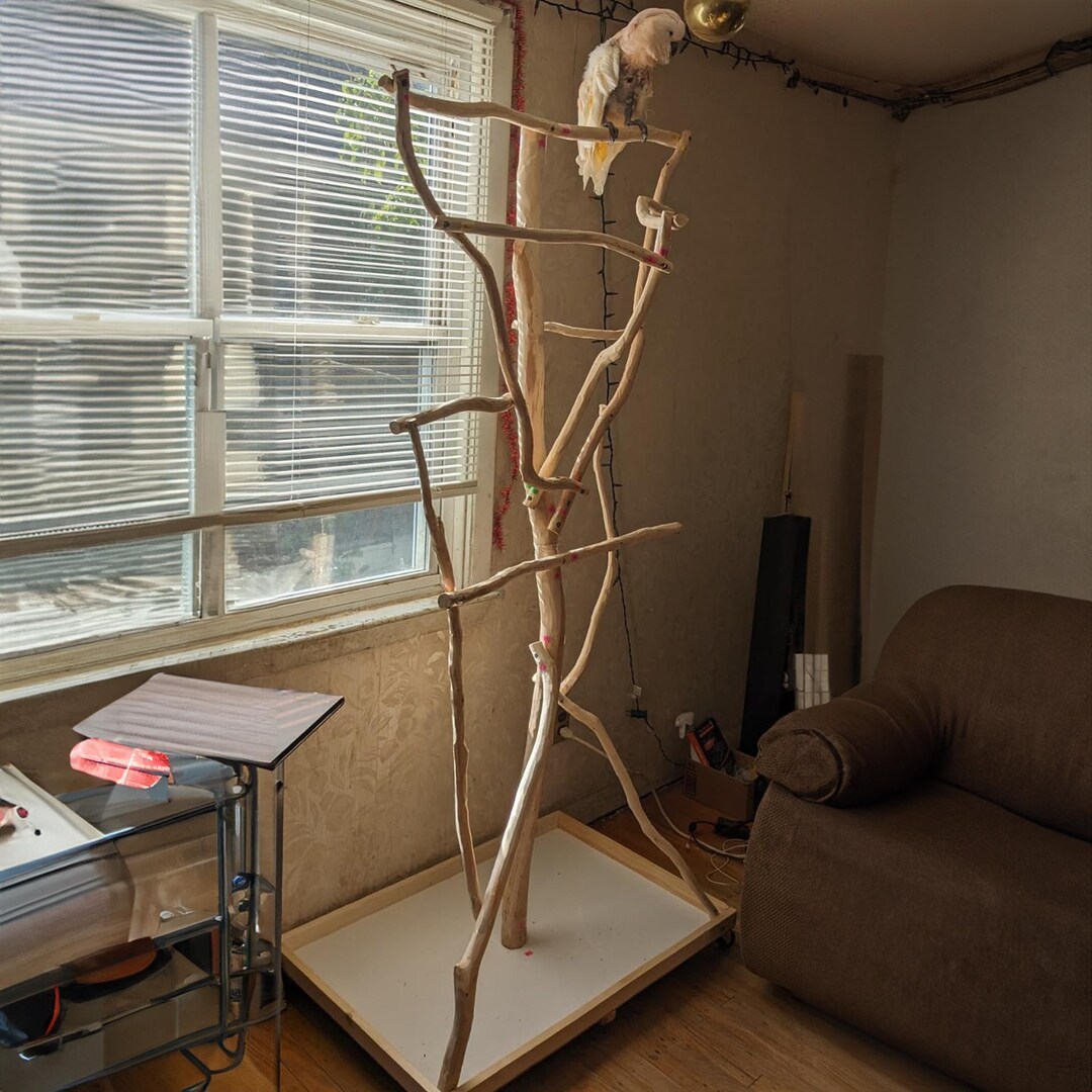 Parrot Tree Branch Parrot Toys Bird Stands Bird Play Stand Parrot Perch ...