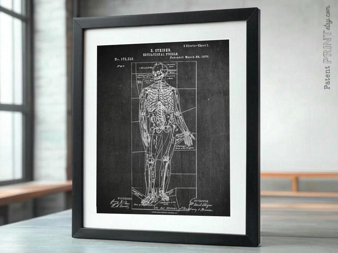 Skeleton Science Educational Patent Print - Skeleton Print - Skeleton ...