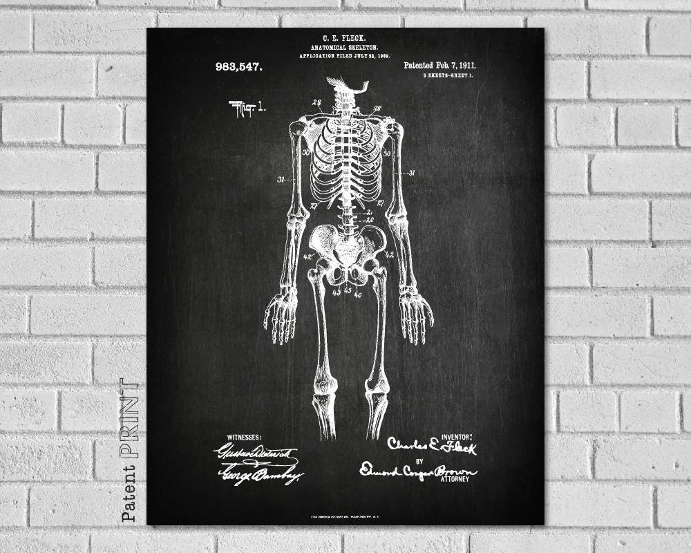 Anatomy Print Anatomy Poster Human Skeleton Print Human | Etsy