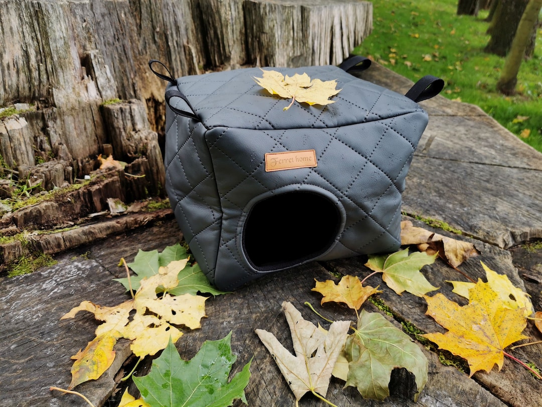 FERRET HAMMOCK, Ferret Playground, Square Ferret House, Ferret Hut ...