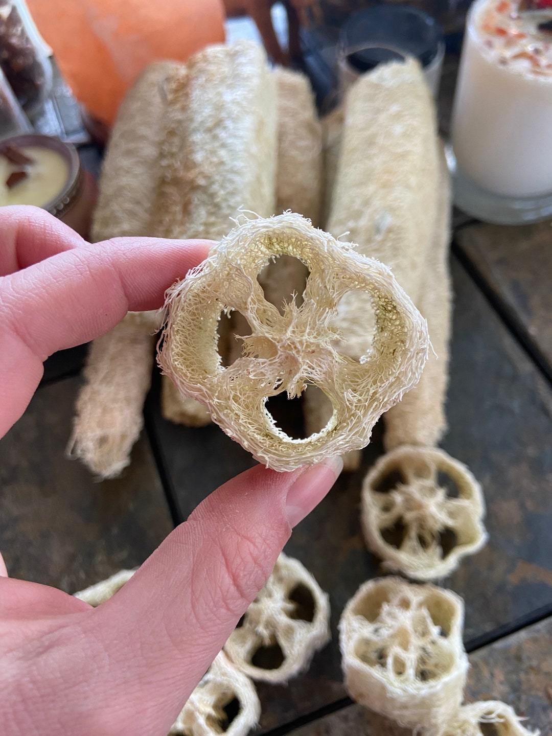 Natural Loofah Sponge Slices (5), Eco Friendly Loofah Sponge ...