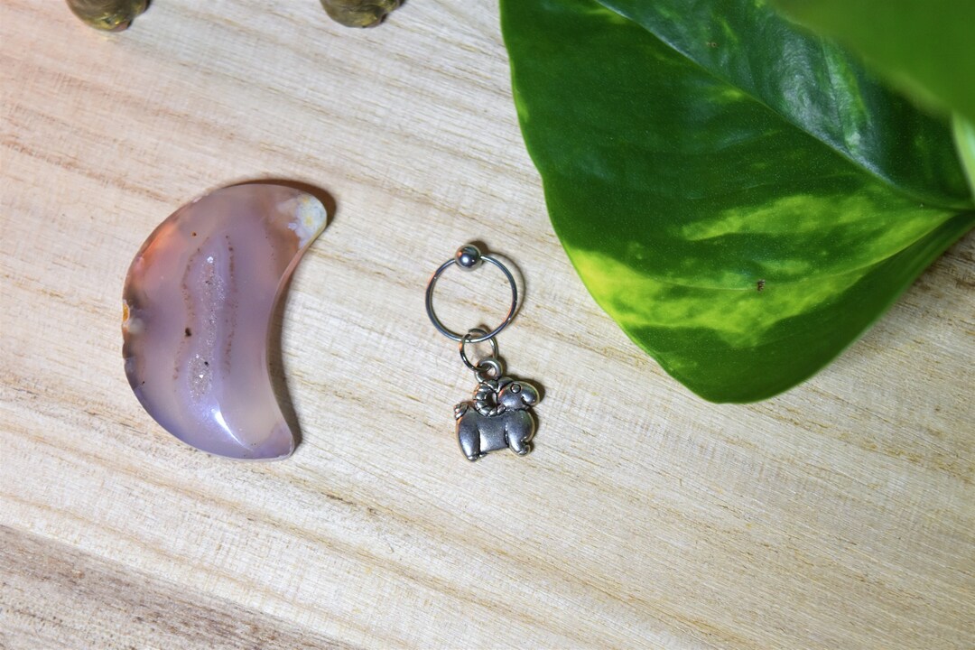 20G Goat Cartilage Earring, Goat Earring, Animal Charm, Charm Earring ...