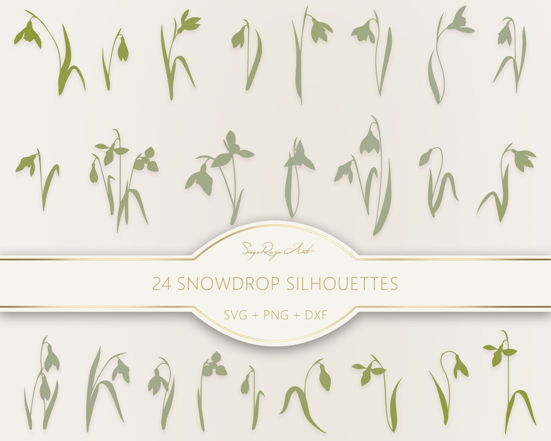 Snowdrop Silhouette Svg Bundle, Snowdrop Svg, Floral Svg, Cricut ...