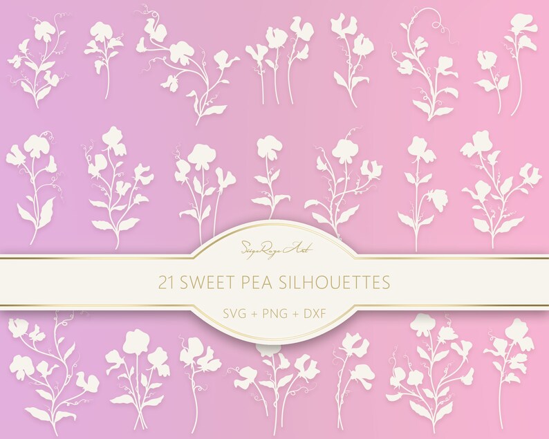 Sweet Pea Silhouette Svg and Png Bundle, Sweet Pea, Floral, Cricut ...