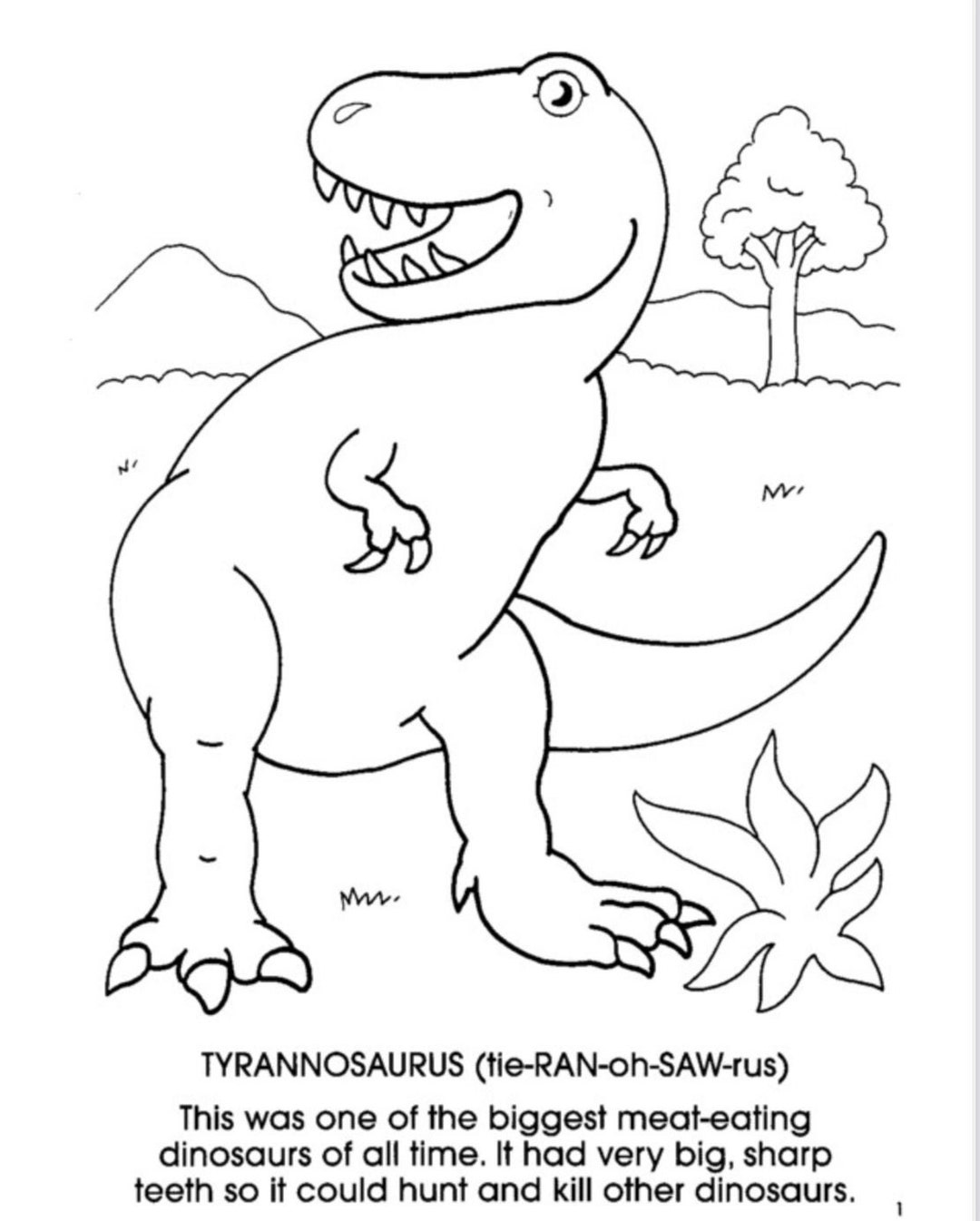 Educational Dinosaur Coloring Pages - Etsy