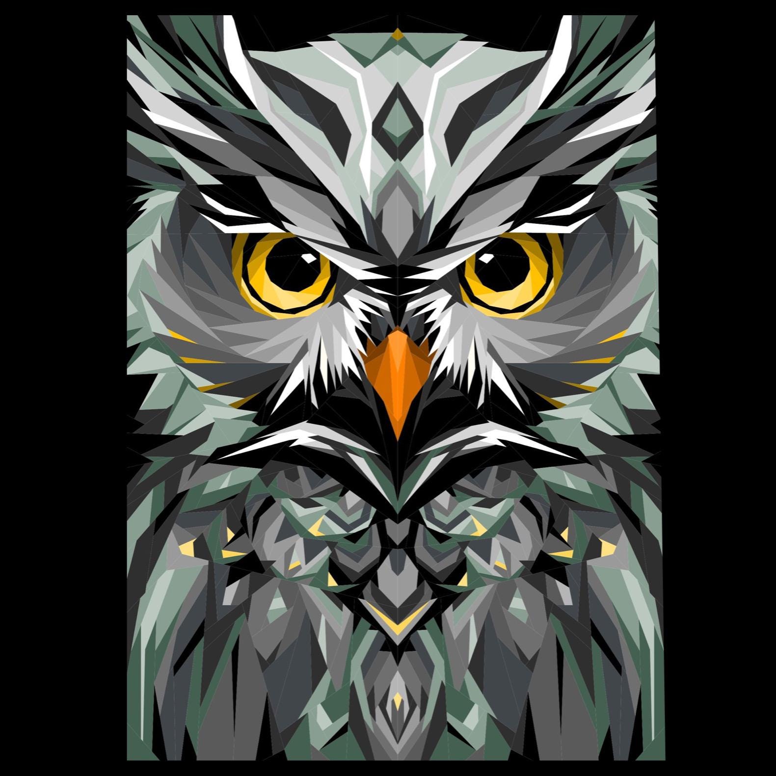 Big Owl 60"x82" FPP Pattern - Etsy
