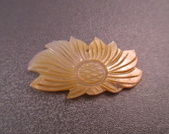 Gold Lip Shell | Etsy