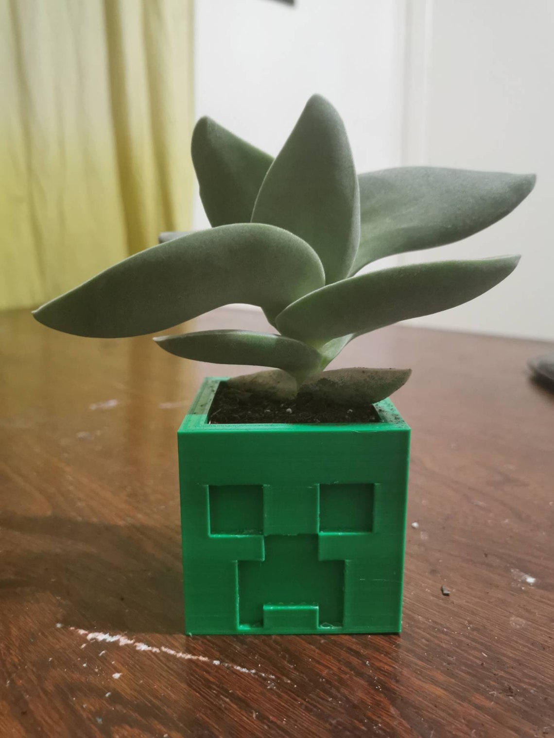 Minecraft Creeper Planter | Etsy