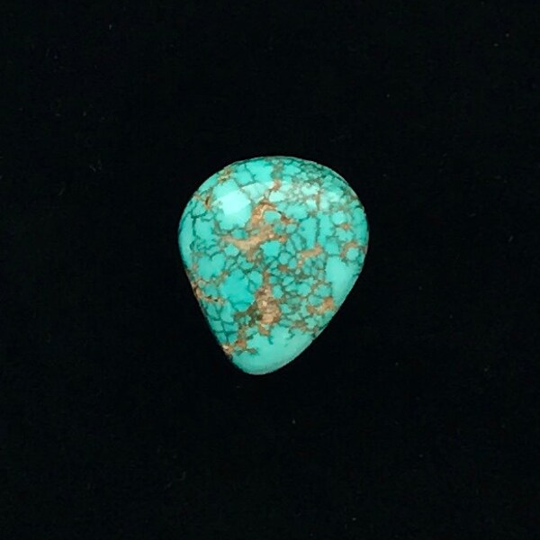 Spiderweb Turquoise - Etsy