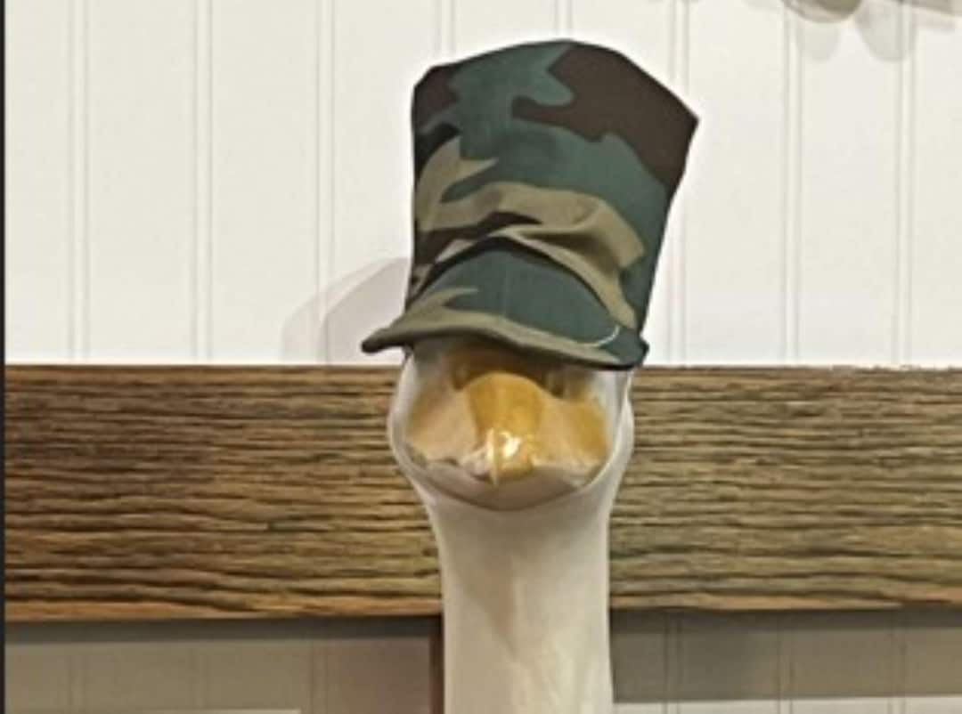 American Made Army Goose Hat by Goose Clothes and More - Etsy