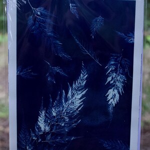9" X 12" Original Cyanotype - Etsy