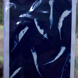 9" X 12" Original Cyanotype - Etsy