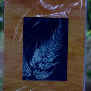9" X 12" Original Cyanotype - Etsy