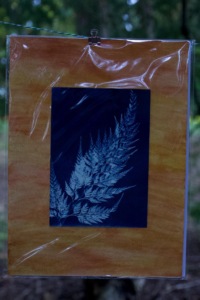 9" X 12" Original Cyanotype - Etsy