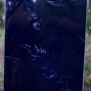 9" X 12" Original Cyanotype - Etsy