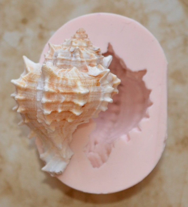 Shell Mold Silicone Mold Molds Silcone Soap Clay Jewelry | Etsy