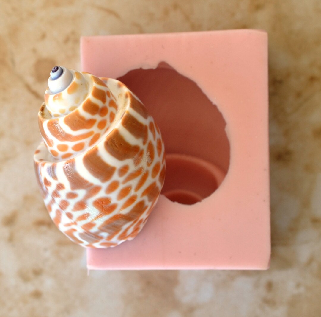 Shell Silicone Mold, Epoxy, Beach, Nautilus, Scallop, Chocolate Molds ...