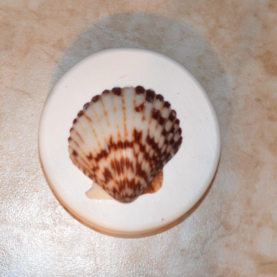 Scallop Soap Mold 1" Base Silicone, Silicone Soap Mold, Soap, Round ...