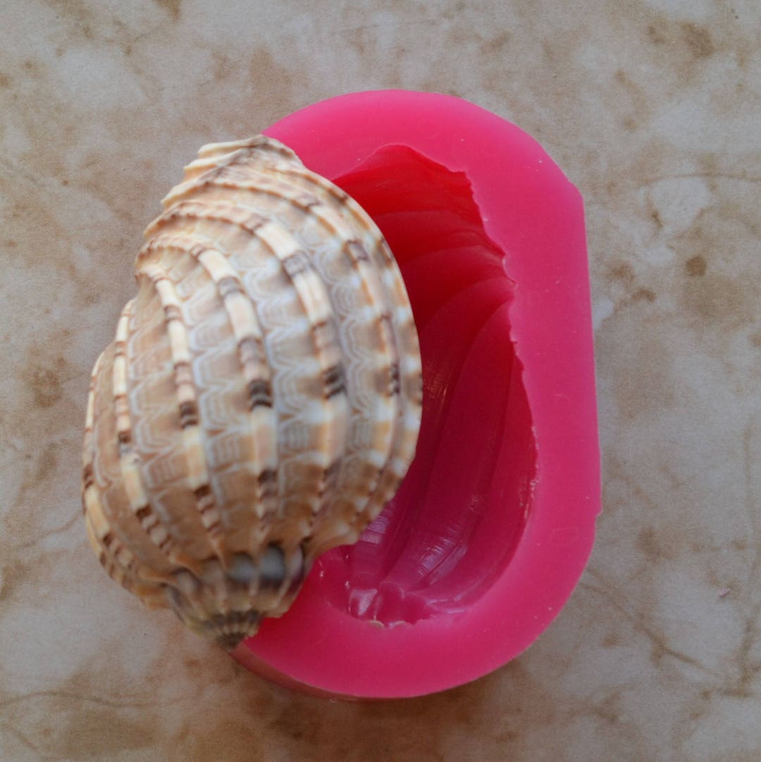 Shell Silicone Mold, Epoxy, Beach, Nautilus, Scallop, Chocolate Molds ...