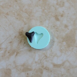 Shark, Shark Teeth, Resin Shark Mold, Clay Mold, Epoxy, Molds, Ocean ...