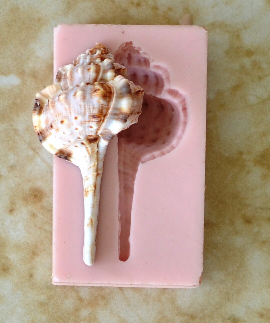 Muschel Silikonform, Epoxy, Strand, Nautilus, Jakobsmuschel ...