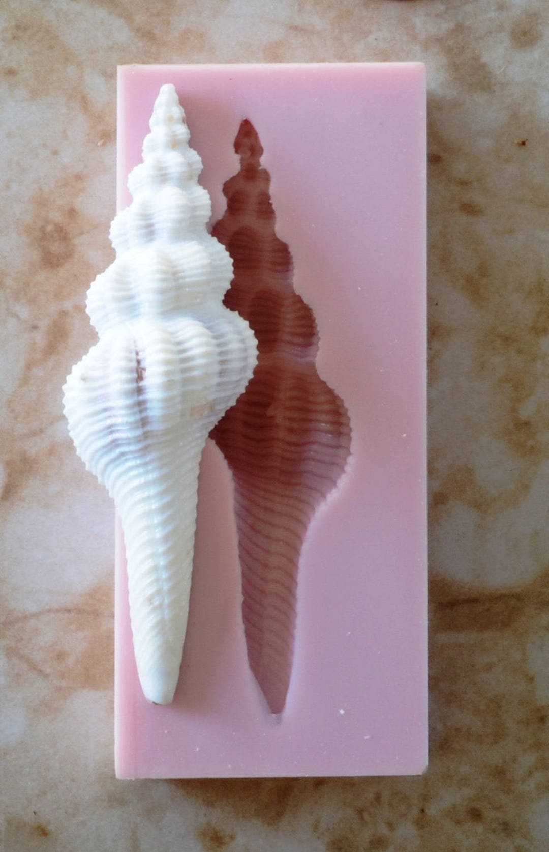 Shell Silicone Mold, Epoxy, Beach, Nautilus, Scallop, Chocolate, Shell ...