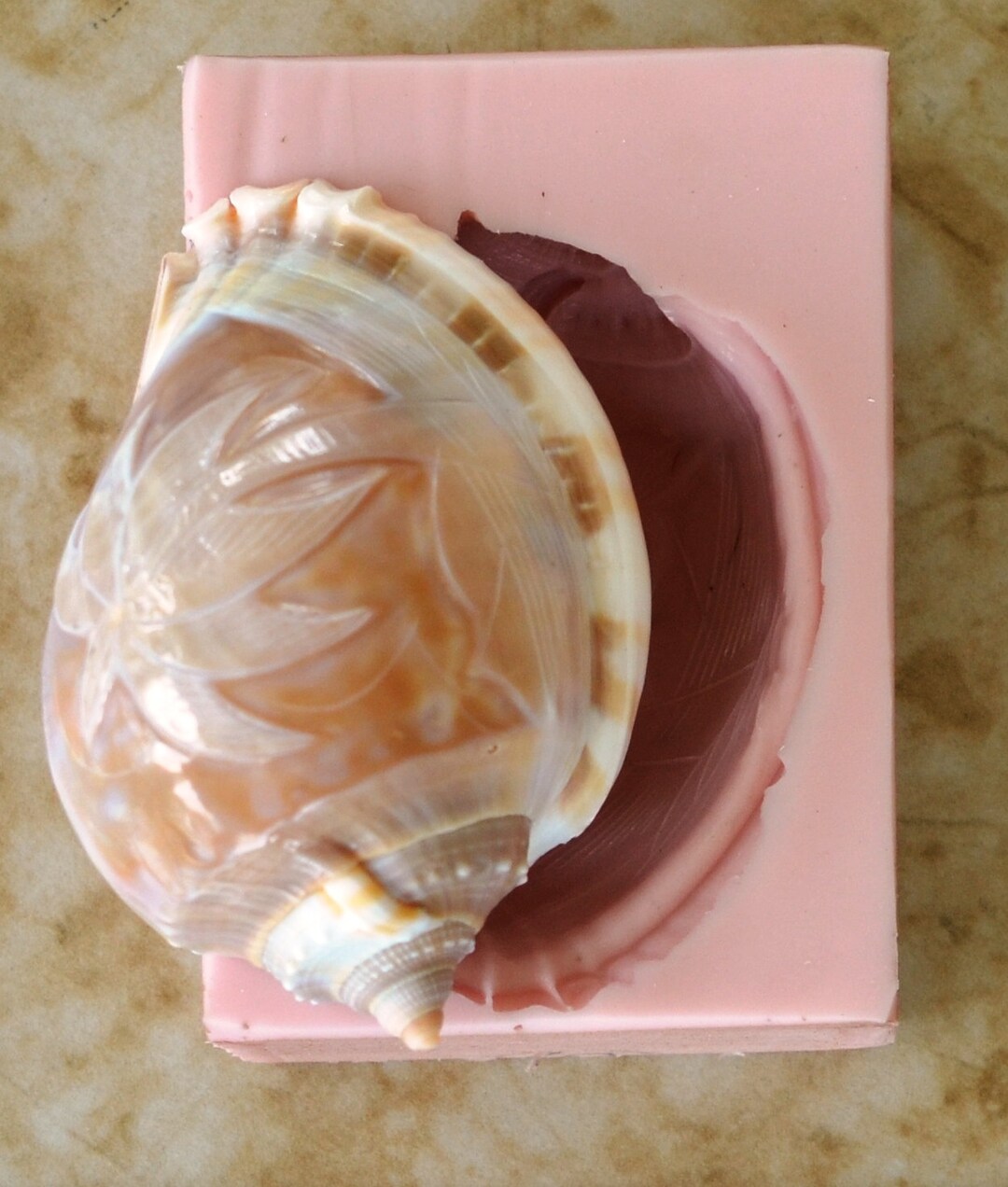 Shell Mold Palm Silicone Mold, Shell Silicone Mold, Epoxy, Nautilus ...