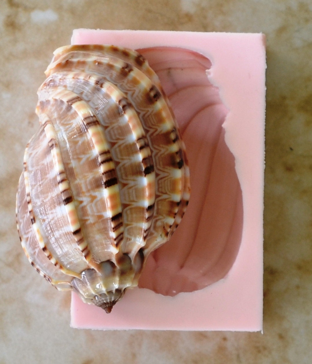 Shell Silicone Mold Epoxy Beach Nautilus Scallop Shell - Etsy