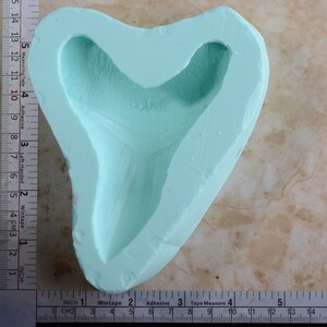 Shark Tooth Mold, Megalodon, Shark, Shark Teeth, Resin Mold, Clay Mold ...