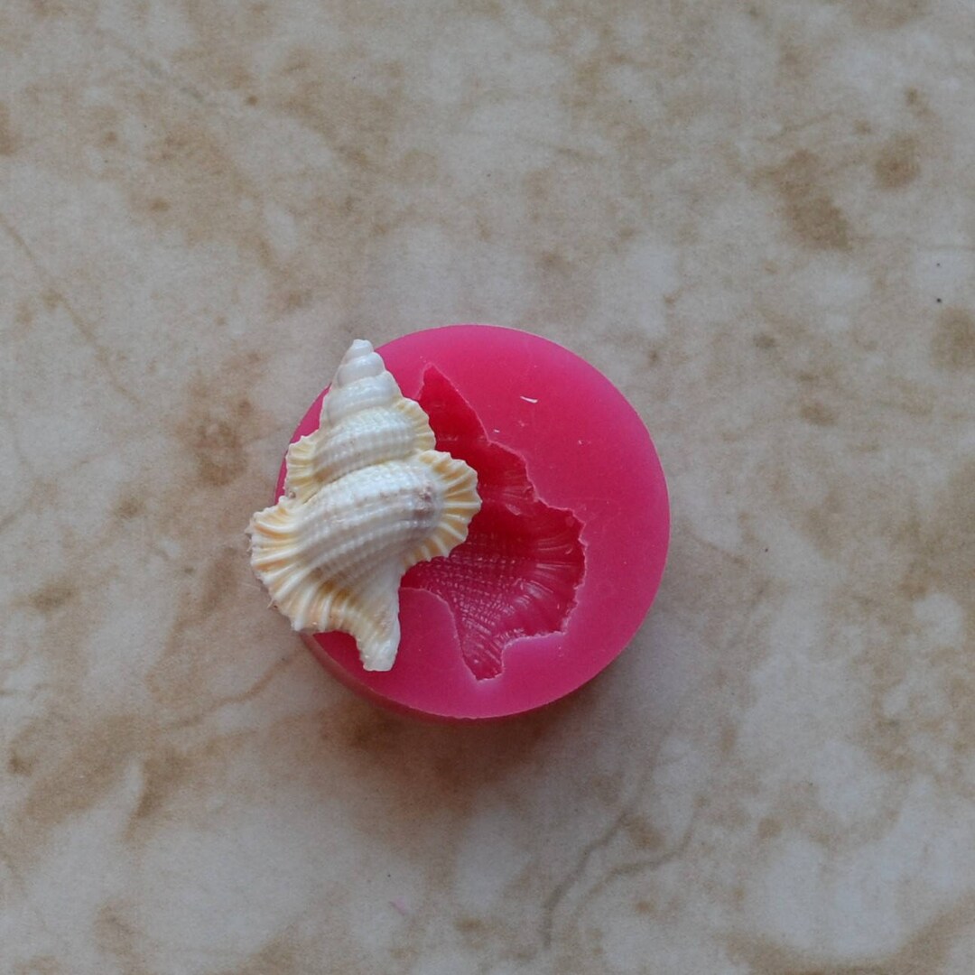 Shell Silicone Mold, Epoxy, Beach, Nautilus, Scallop, Chocolate, Shell ...