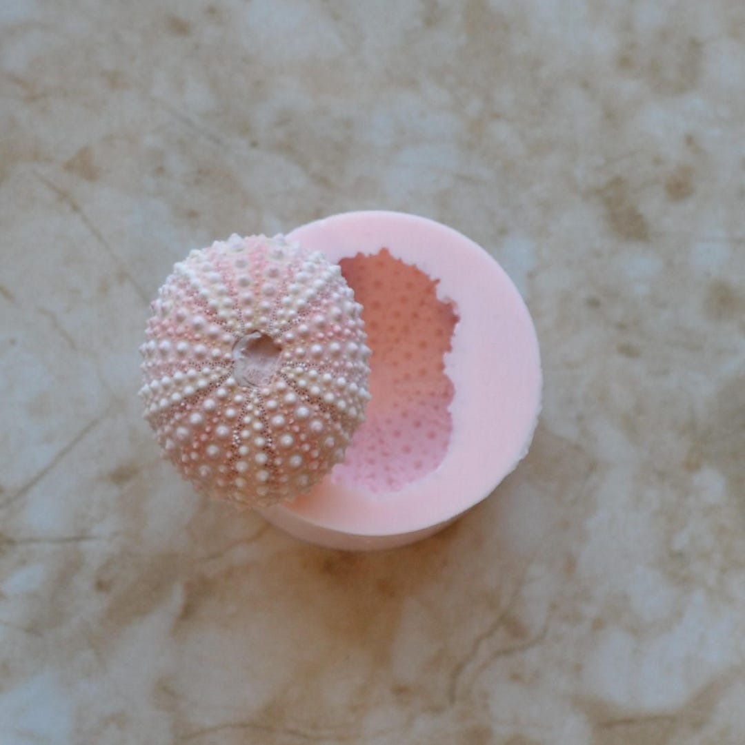 Sea Urchin Silicone Mold Sea Urchins Molds Clay Crafts - Etsy