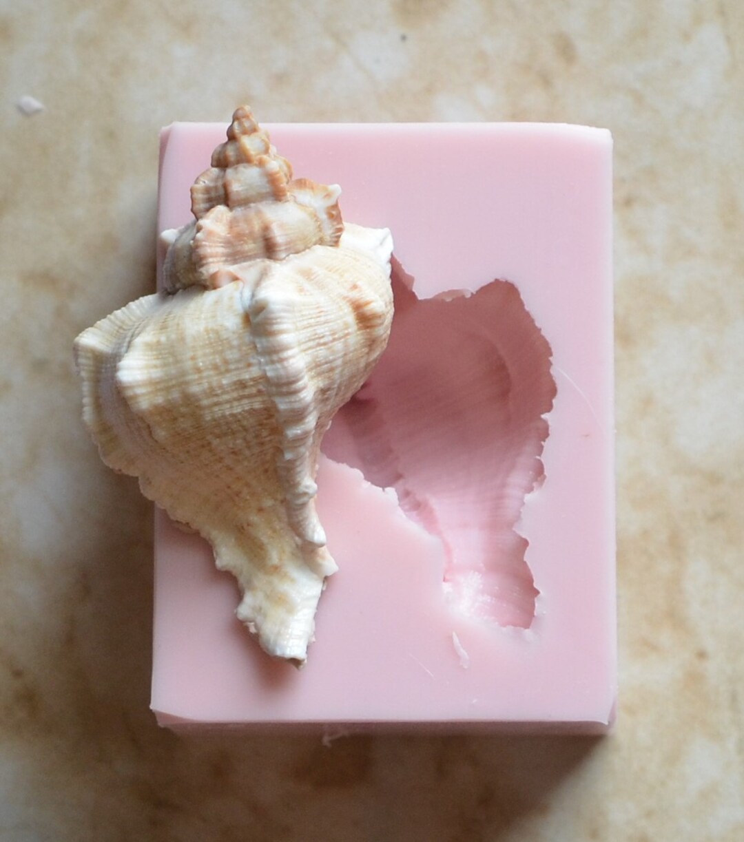 Shell Silicone Mold, Epoxy, Beach, Nautilus, Scallop, Chocolate, Shell ...