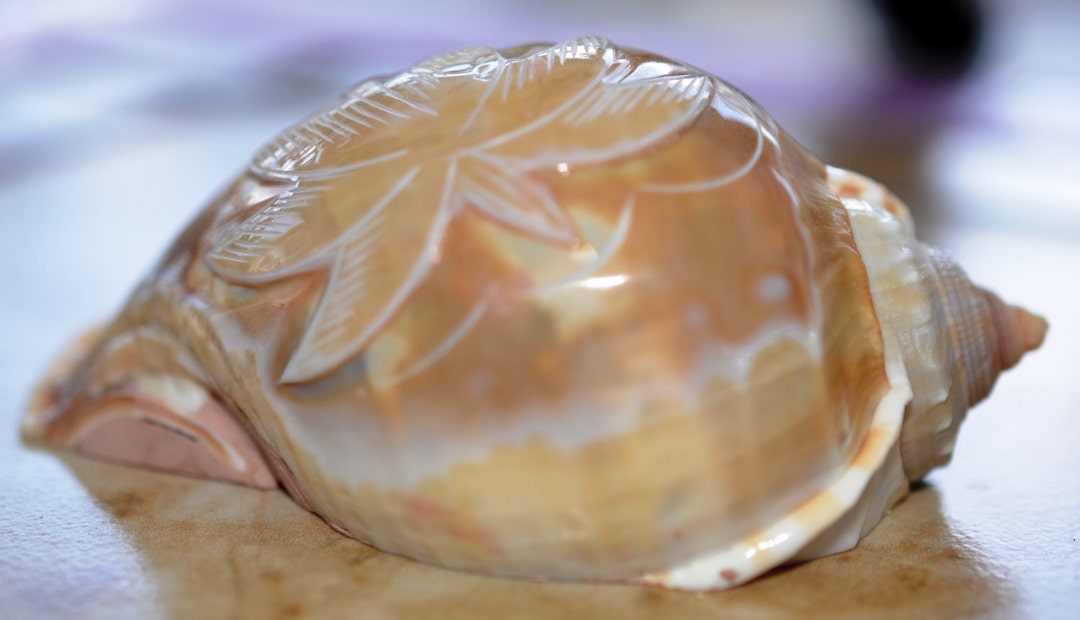 Shell Mold Plam2 Silicone Mold, Shell Silicone Mold, Epoxy, Beach ...