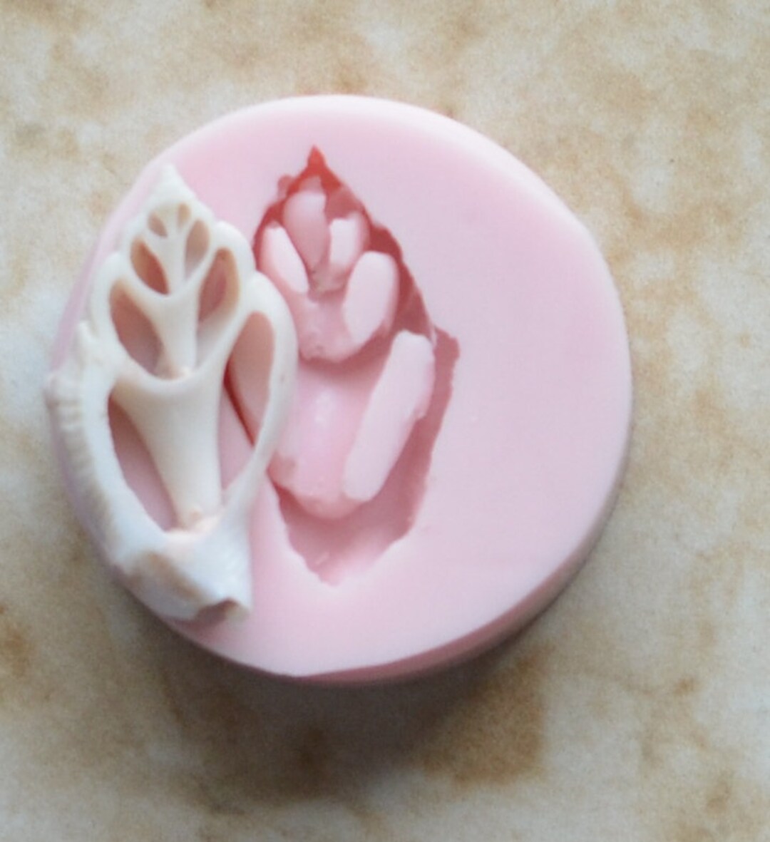 Shell Silicone Mold, Epoxy, Beach, Nautilus, Scallop, Chocolate Molds ...