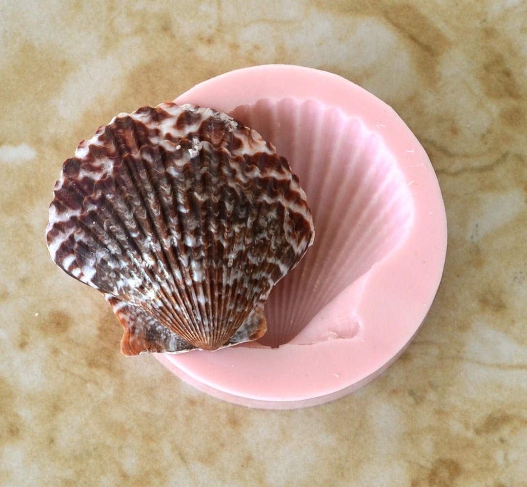 Shell Silicone Mold, Epoxy, Beach, Nautilus, Scallop, Chocolate Molds ...
