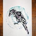 Raven Formline Art - Northwest Coast Style - Handmade Screen Print ...