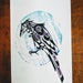 Raven Formline Art - Northwest Coast Style - Handmade Screen Print ...