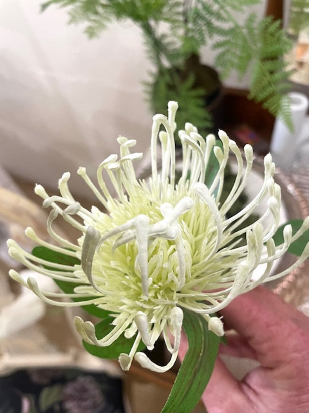 Artificial Flowers, Pincushion, Native, Australia - Etsy