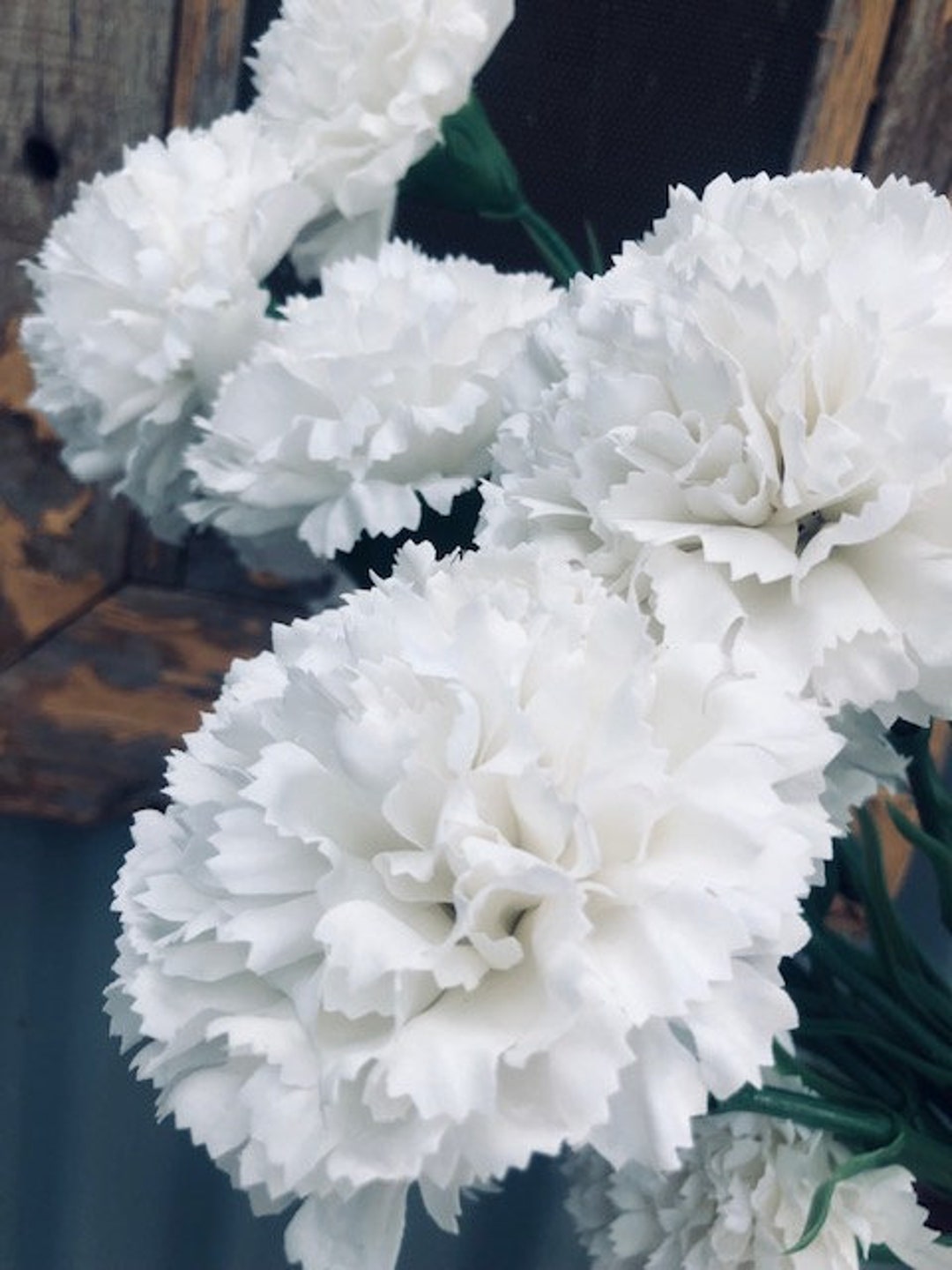 Winter White, Real to Look at and Touch Carnations - Etsy